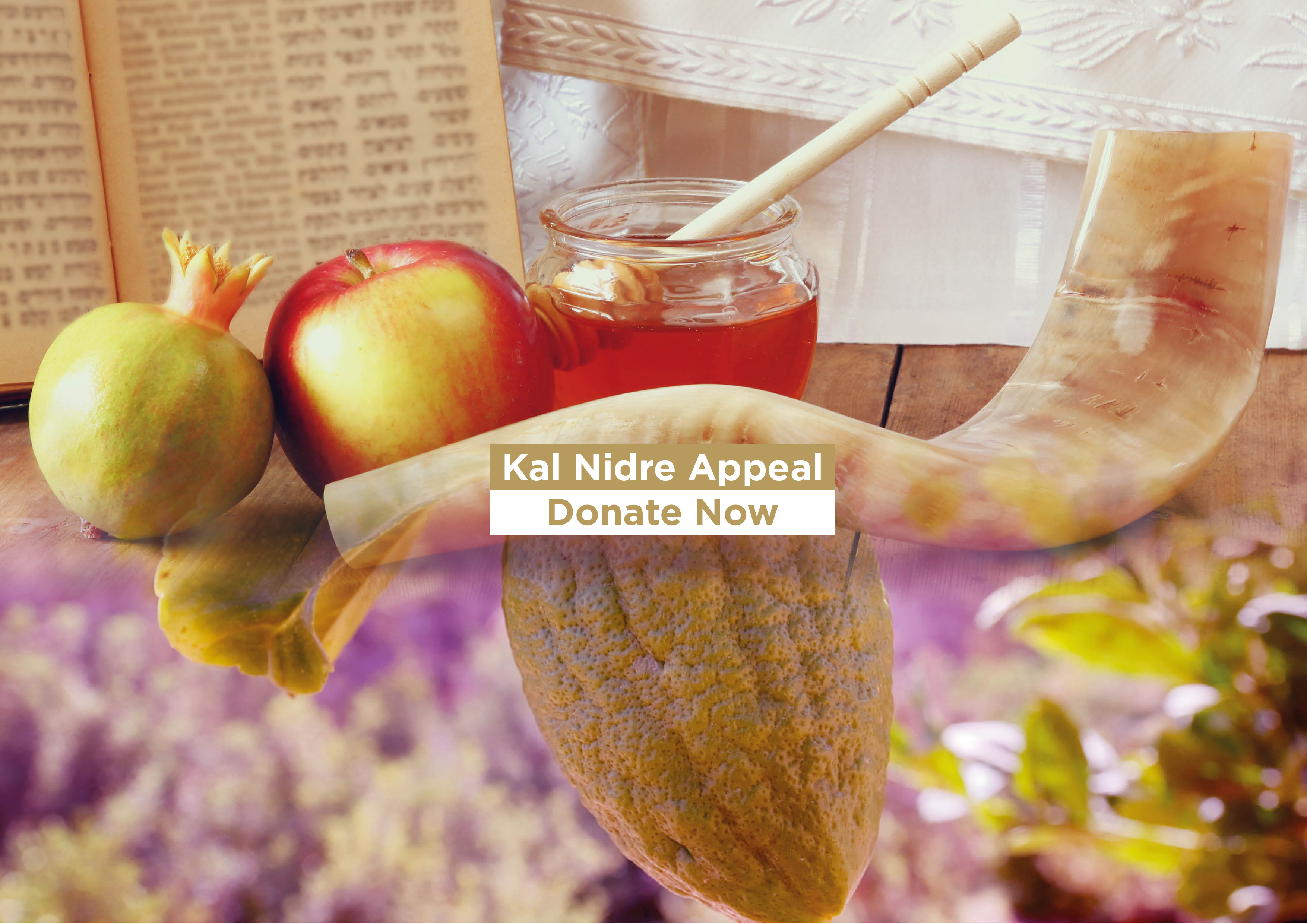 S&P | The home of the Sephardi Community since 1656